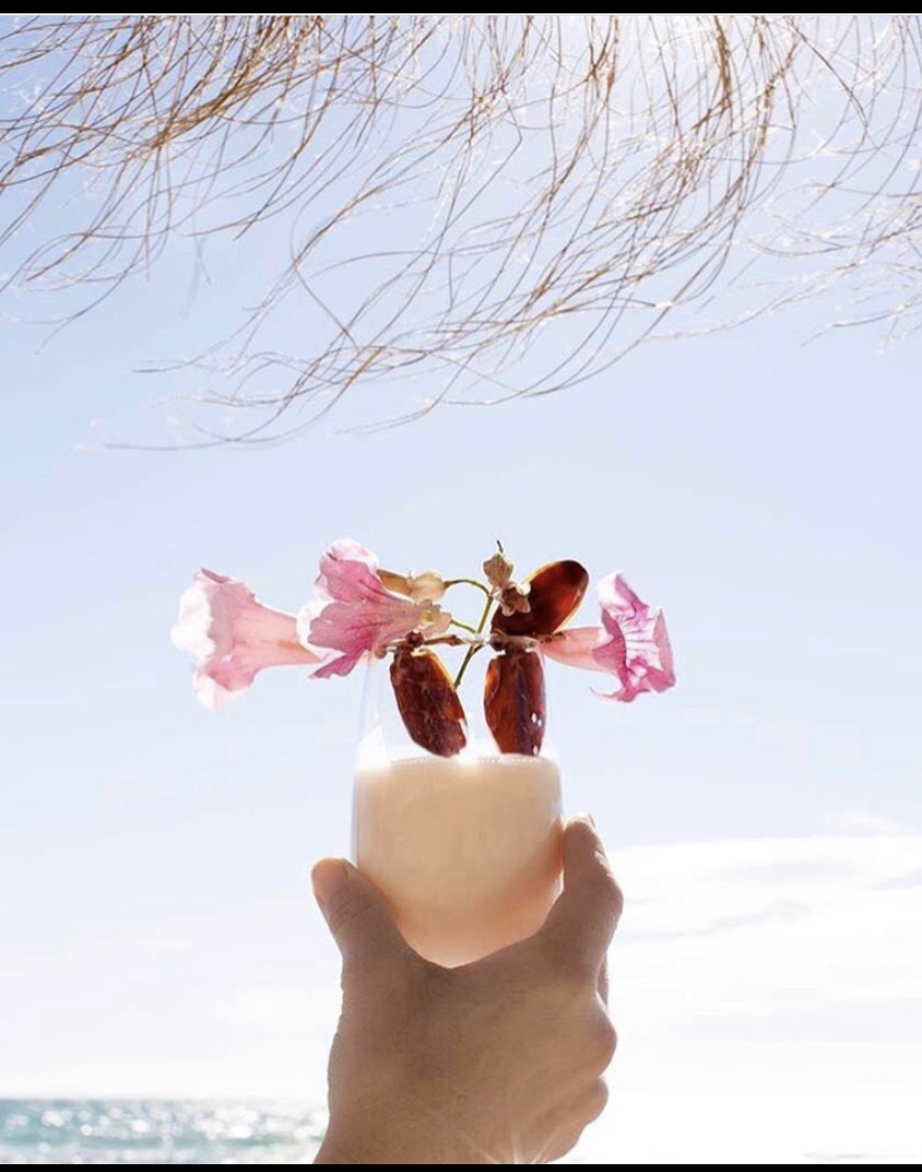 Melk drinken voor sterke botten: feit of fabel? | Fit Green Chef